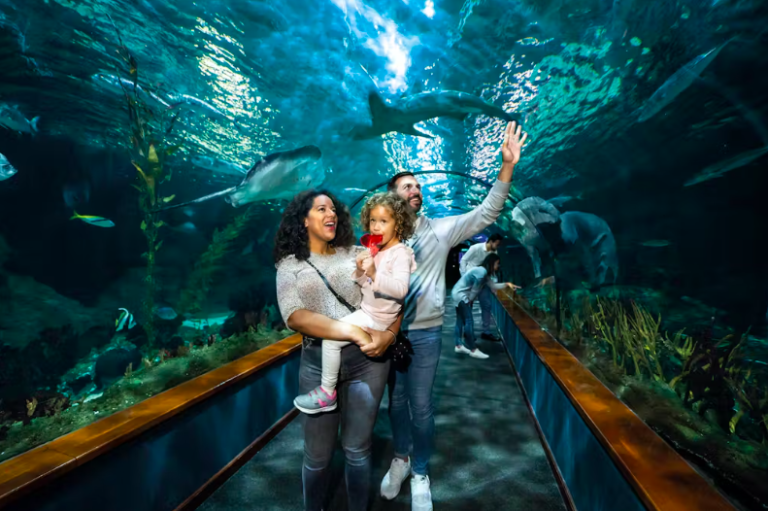 Loro Parque: Entry Ticket 2026